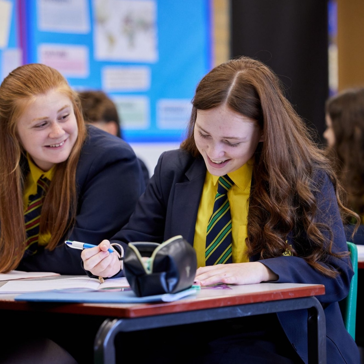 Brighton Hill Community School - Welcome to our new website